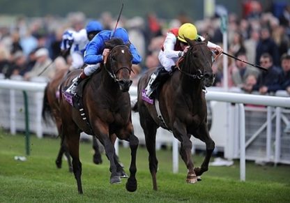 Horse trainers' quick guide to ATP - Finish Line® Horse Products, Inc