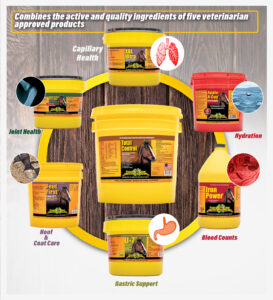 Total Control® Plus - Finish Line® Horse Products, Inc