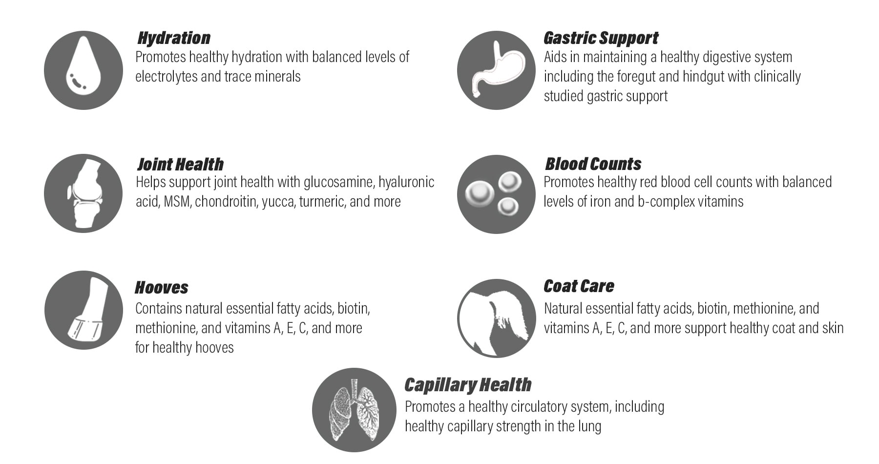 Total Control® Plus - Finish Line® Horse Products, Inc