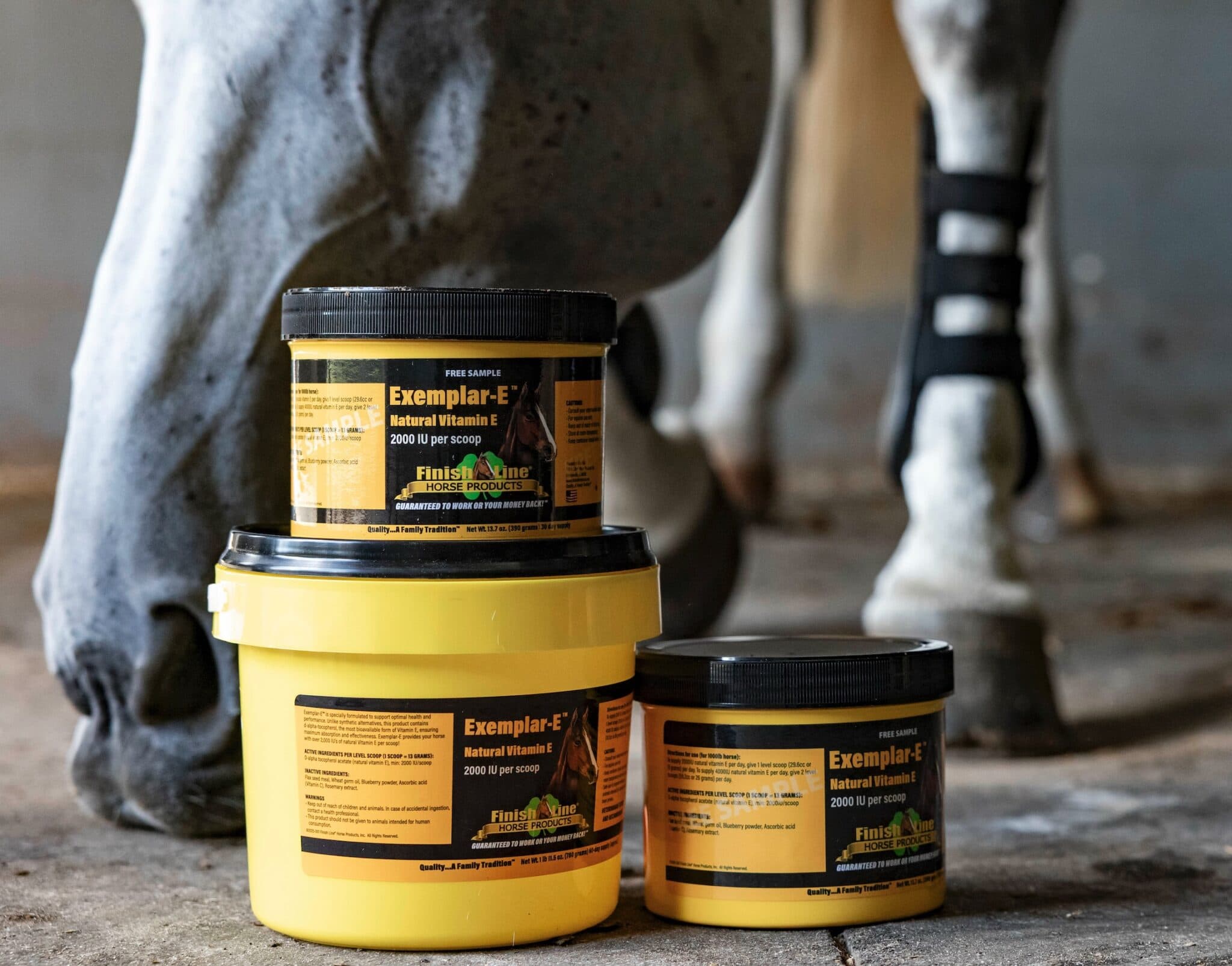 Vitamin E for Horses: Essential for Muscle, Nerve, and Immune Health ...